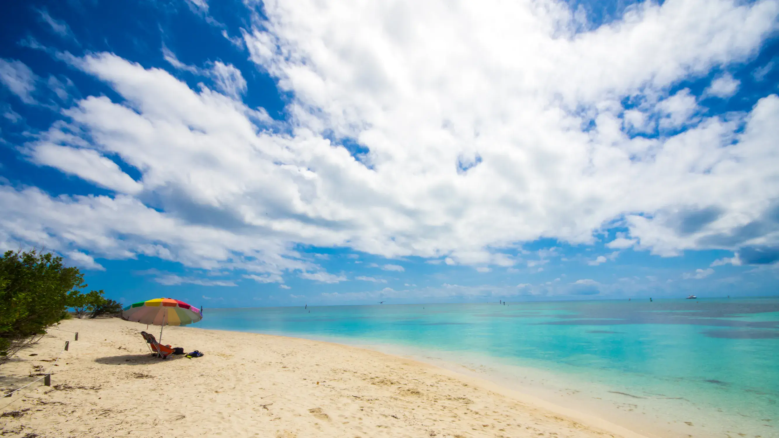 Boost your speed with lazy images | ComputerMinds